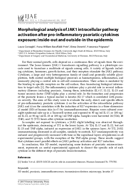 (PDF) Morphological analysis of JAK1 intracellular pathway activation ...