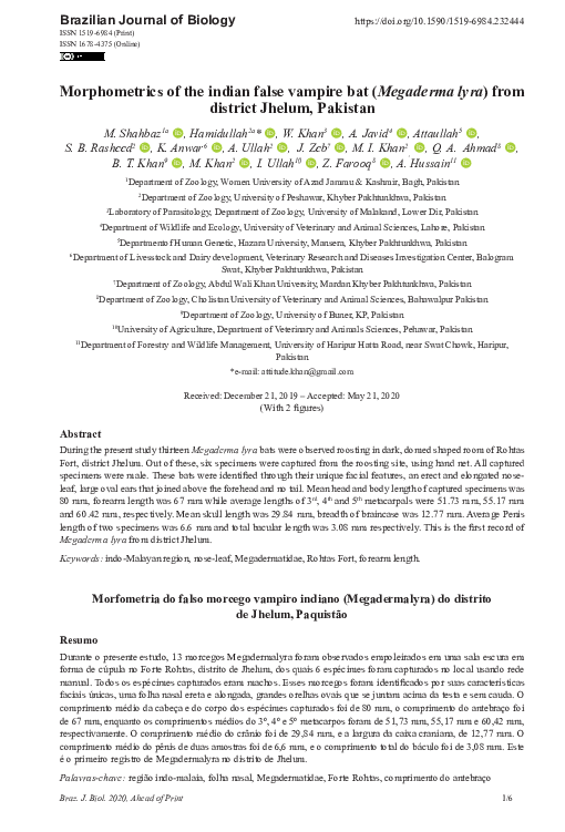 (PDF) Morphometrics of the indian false vampire bat (Megaderma lyra ...
