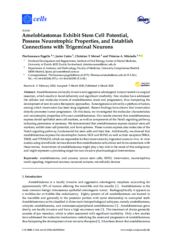 (PDF) Ameloblastomas Exhibit Stem Cell Potential, Possess Neurotrophic ...