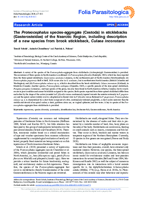 (PDF) The Proteocephalus species-aggregate (Cestoda) in sticklebacks ...
