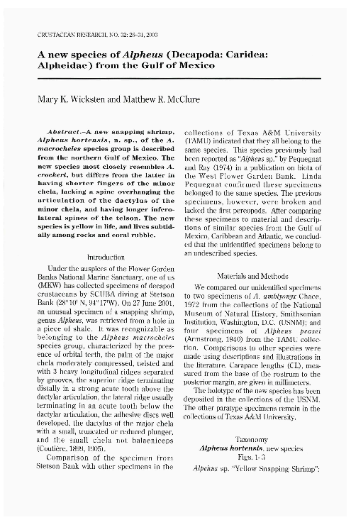 (PDF) A new species of Alpheus (Decapoda: Caridea: Alpheidae) from the ...