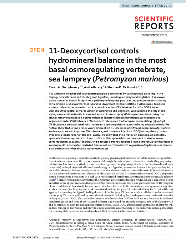 (PDF) 11-Deoxycortisol controls hydromineral balance in the most basal ...