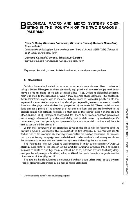 (PDF) Biological Macro and Micro Systems Co-Existing in the “Fountain ...