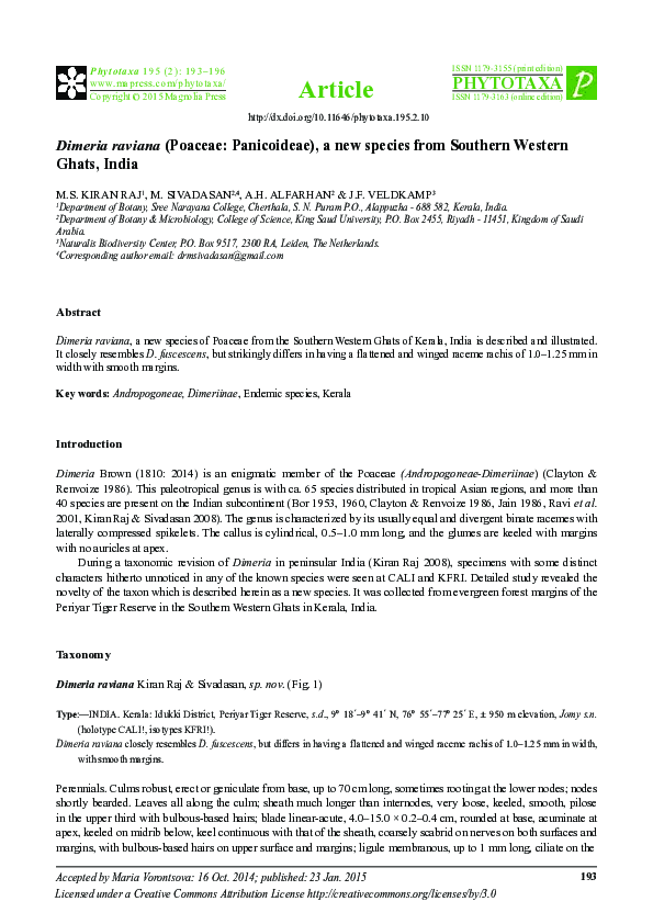 (PDF) Dimeria raviana (Poaceae: Panicoideae), a new species from ...