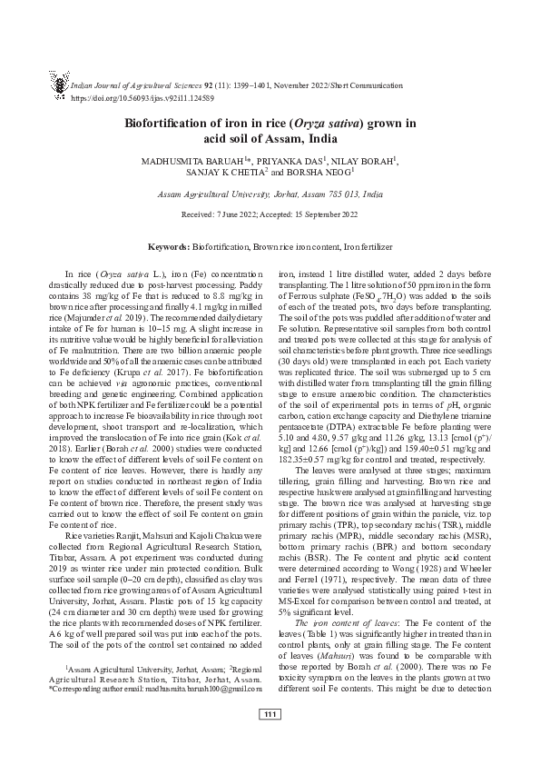 (PDF) Biofortification of iron in rice (Oryza sativa) grown in acid ...