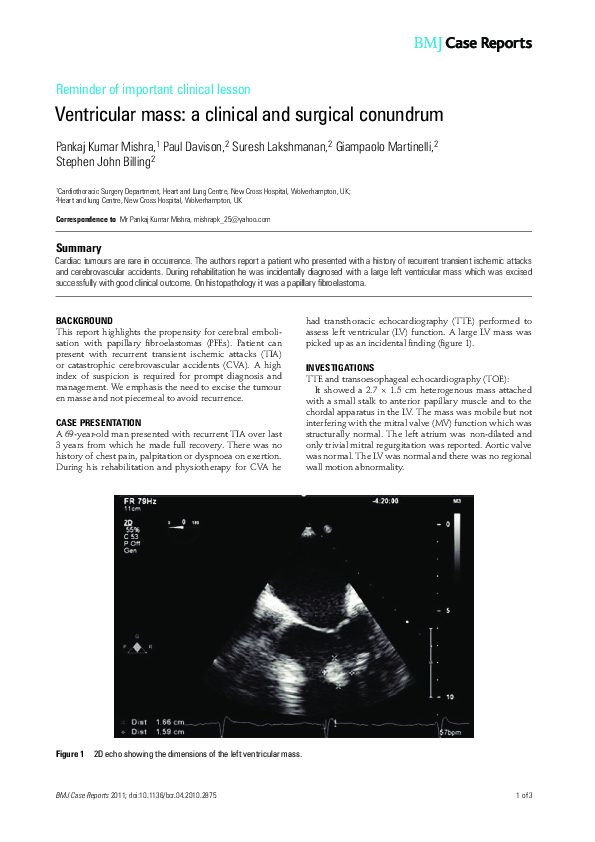 (PDF) Ventricular mass: a clinical and surgical conundrum