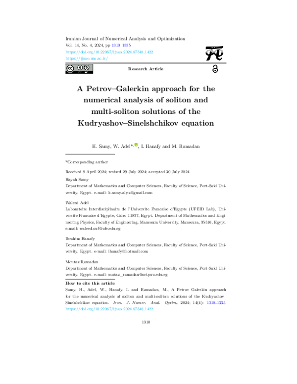 (PDF) A Petrov-Galerkin approach for the numerical analysis of soliton and multi-soliton ...