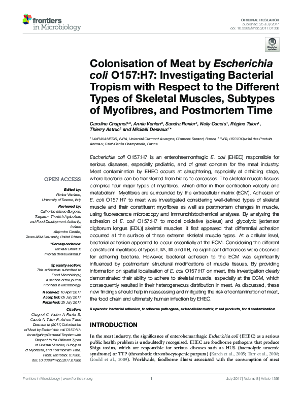 (PDF) Colonisation of meat by Escherichia coli O157:H7: bacterial ...