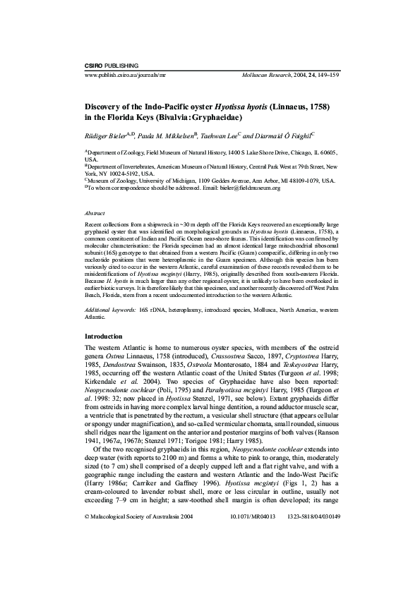 (PDF) Discovery of the Indo-Pacific oyster Hyotissa hyotis (Linnaeus ...
