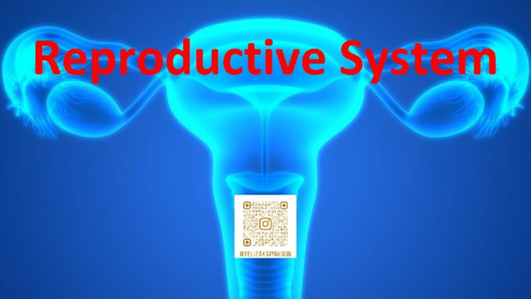 (PDF) Reproduction Development