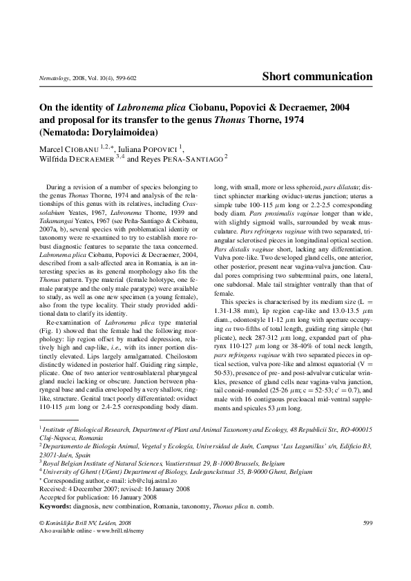 (PDF) On the identity of Labronema plica Ciobanu, Popovici & Decraemer ...
