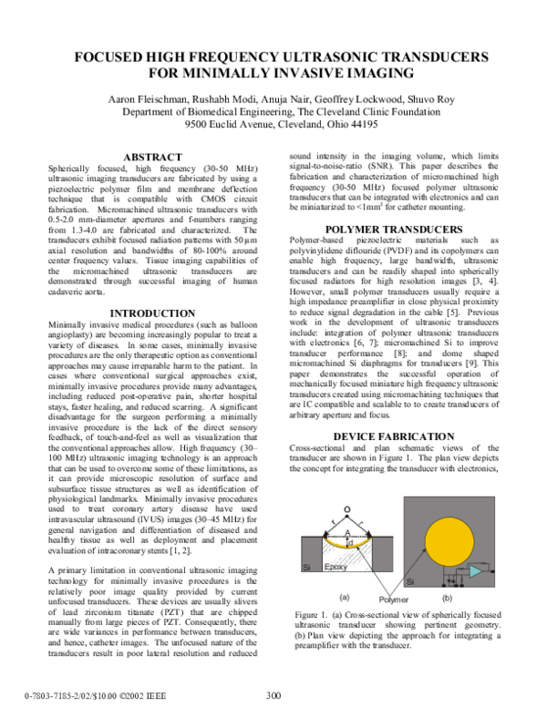 (PDF) Focused high frequency ultrasonic transducers for minimally invasive imaging