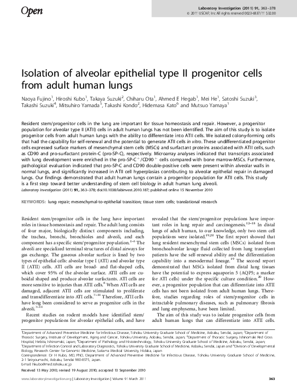 (PDF) Isolation of alveolar epithelial type II progenitor cells from ...