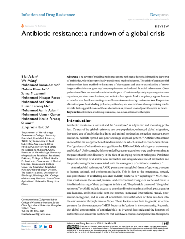 (PDF) Antibiotic resistance: a rundown of a global crisis