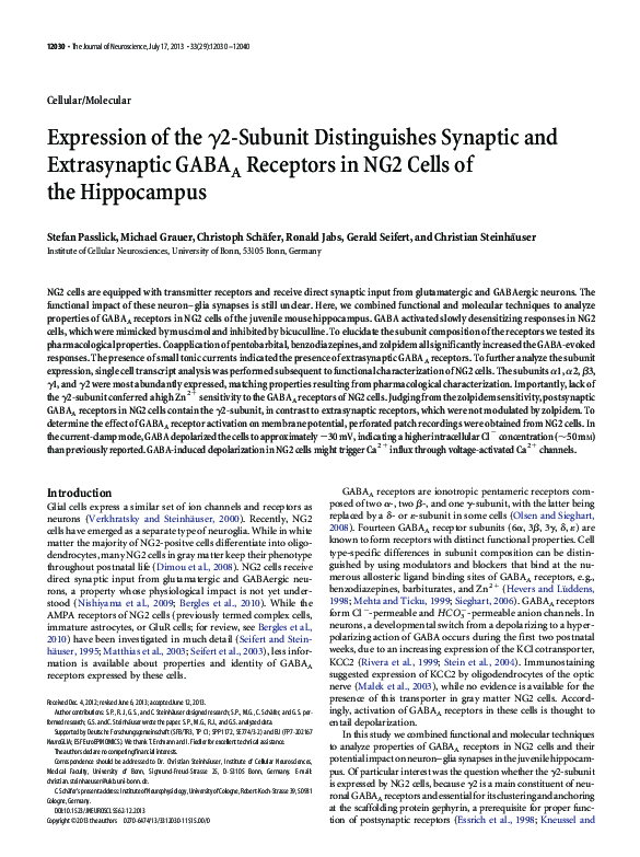 (PDF) Expression of the 2-Subunit Distinguishes Synaptic and ...