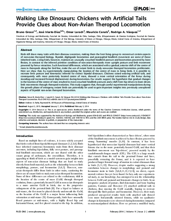 (PDF) Walking Like Dinosaurs: Chickens with Artificial Tails Provide ...