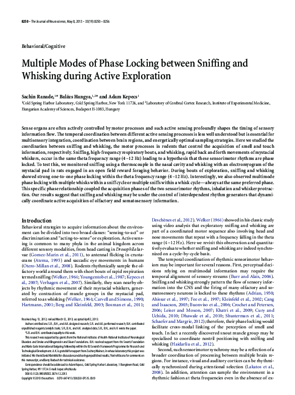 (PDF) Multiple modes of phase locking between sniffing and whisking during active exploration