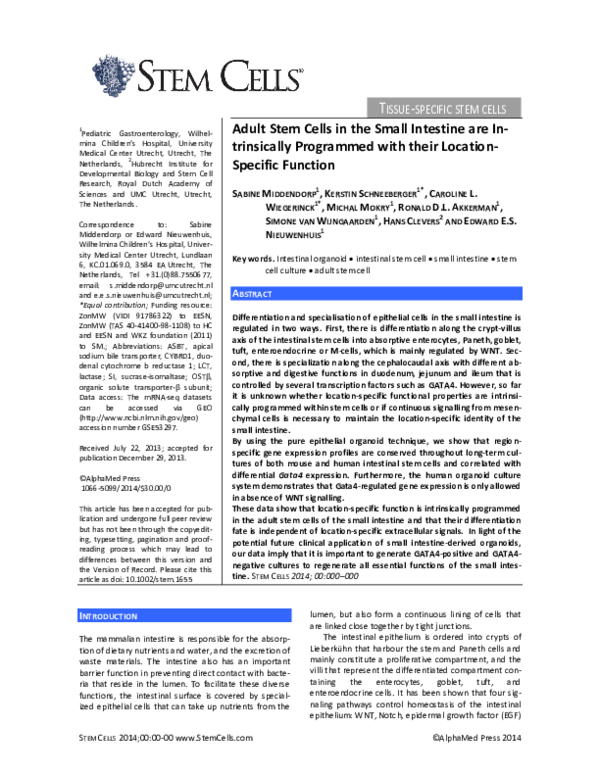 (PDF) Adult Stem Cells in the Small Intestine Are Intrinsically ...