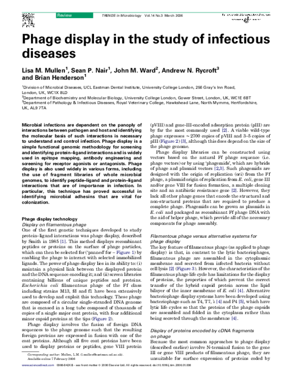 (PDF) Phage display in the study of infectious diseases