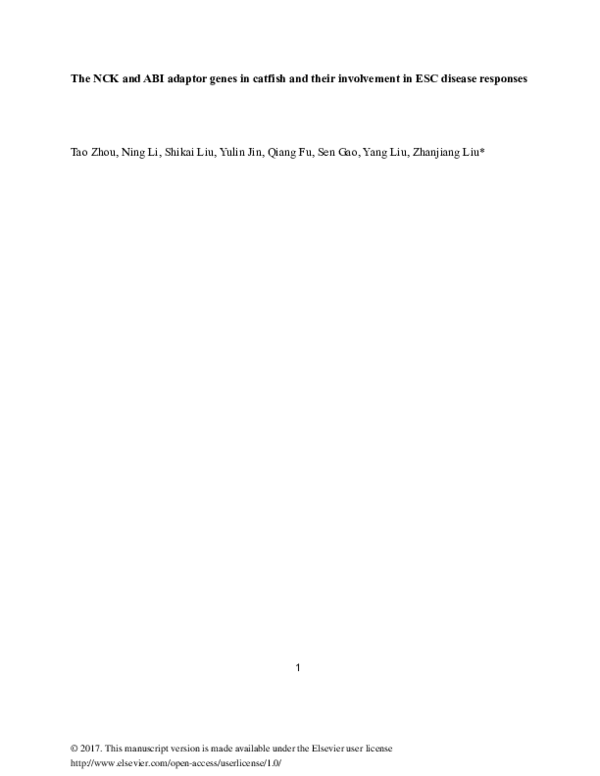 (PDF) The NCK and ABI adaptor genes in catfish and their involvement in ...
