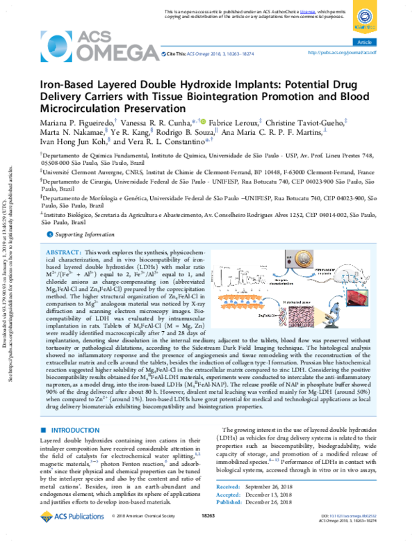 (PDF) Iron-Based Layered Double Hydroxide Implants: Potential Drug ...