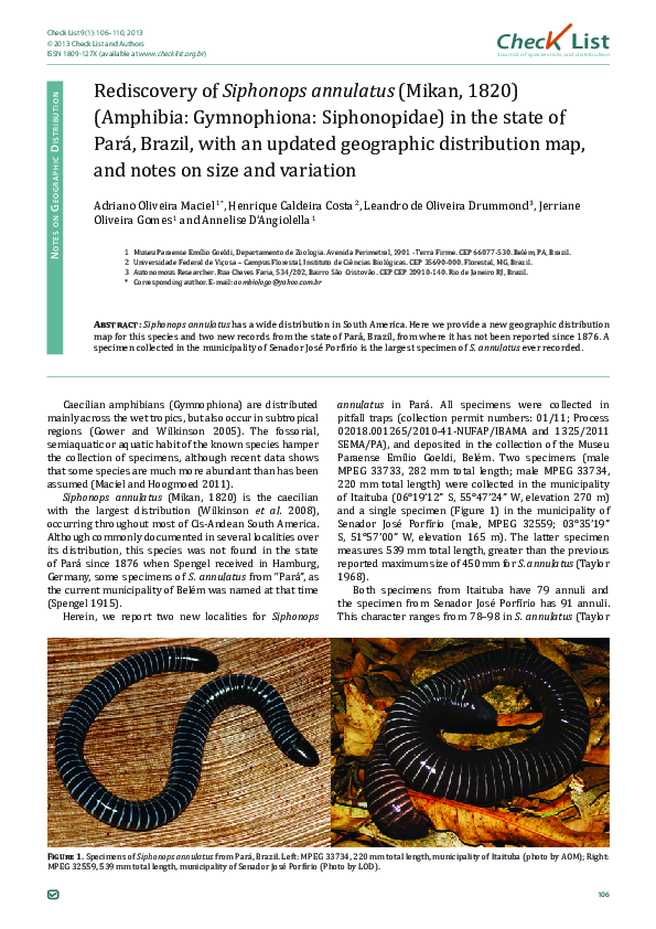 (PDF) Rediscovery of Siphonops annulatus (Mikan, 1820) (Amphibia ...