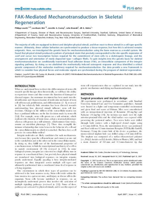 (PDF) FAK-Mediated Mechanotransduction in Skeletal Regeneration