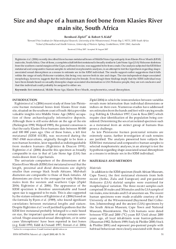 (PDF) Size and shape of the human foot bone from Klasies River main ...