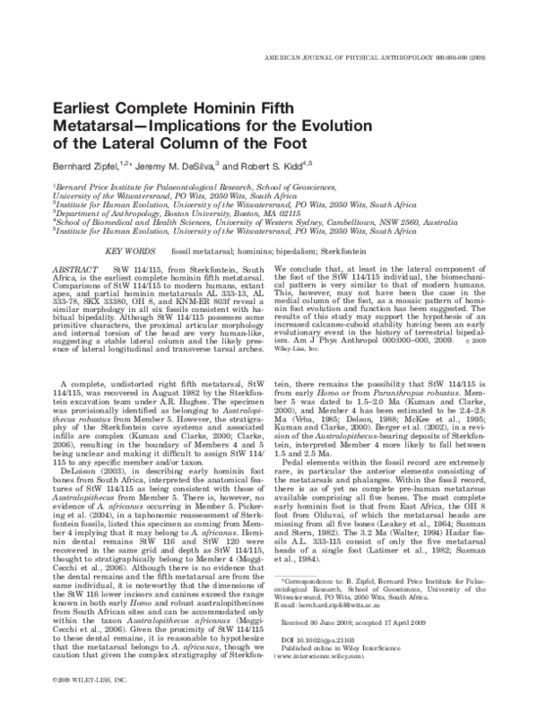 (PDF) Earliest complete hominin fifth metatarsal-Implications for the ...