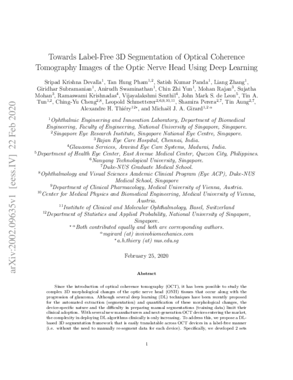 (PDF) Towards label-free 3D segmentation of optical coherence ...