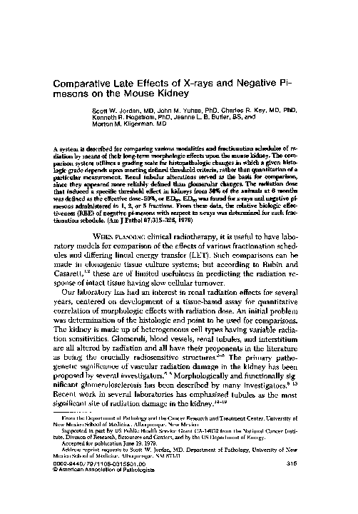 (PDF) Comparative late effects of X-rays and negative pimesons on the ...