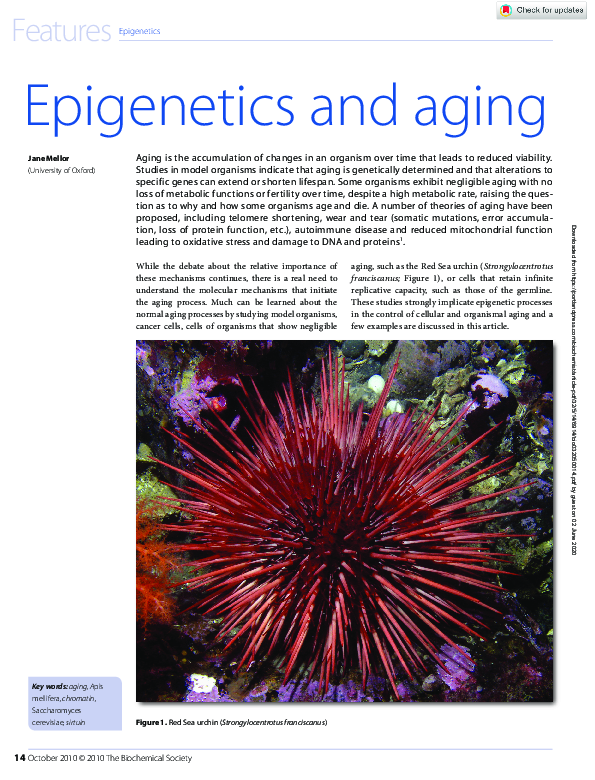 (PDF) Epigenetics and aging