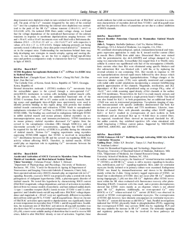 (PDF) Inward Rectifier Potassium Channels in Mammalian Skeletal Muscle ...