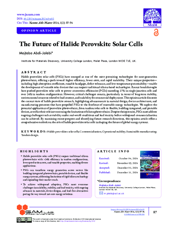 (PDF) The Future of Halide Perovskite Solar Cells