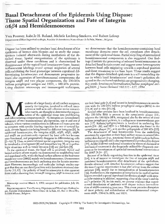 (PDF) Basal Detachment of the Epidermis Using Dispase: Tissue Spatial ...