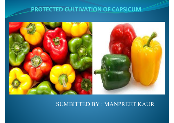 (PDF) PROTECTED CULTIVATION OF CAPSICUM