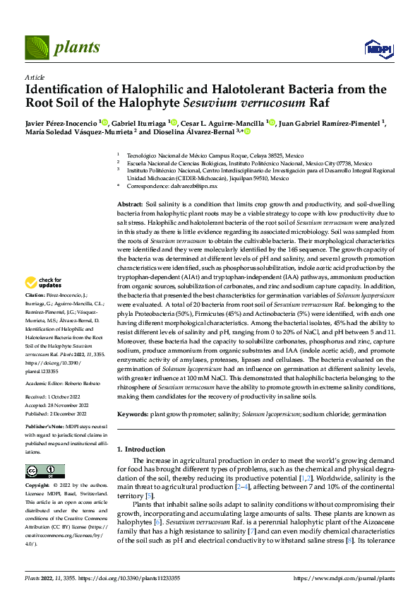 (PDF) Identification of Halophilic and Halotolerant Bacteria from the ...