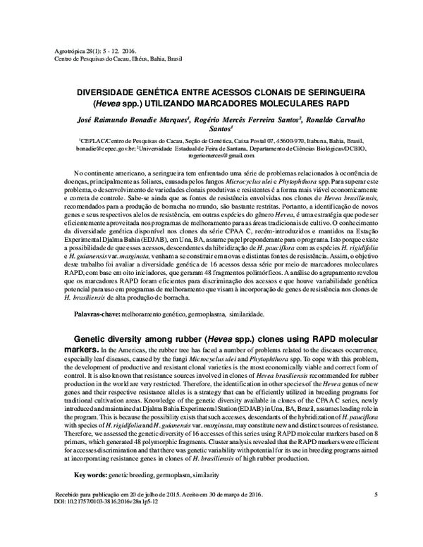 (PDF) DIVERSIDADE GENÉTICA ENTRE ACESSOS CLONAIS DE SERINGUEIRA (Hevea ...