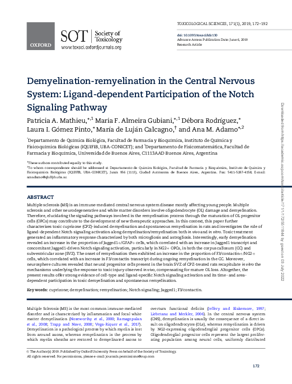 (PDF) Demyelination-remyelination in the Central Nervous System: Ligand ...