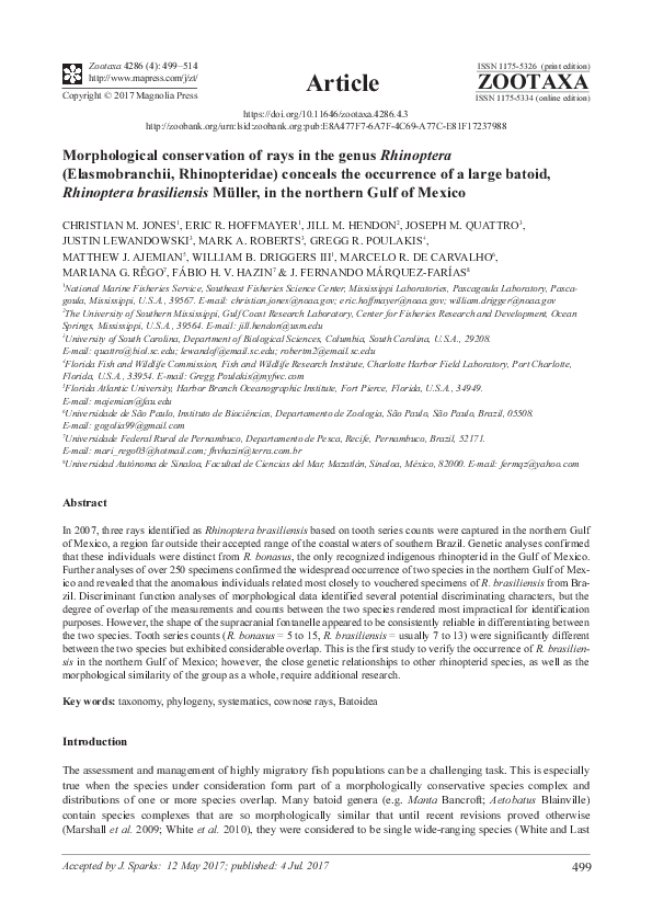 (PDF) Morphological conservation of rays in the genus Rhinoptera ...