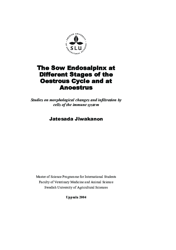 (PDF) The Sow Endosalpinx at Different Stages of the Oestrous Cycle and ...