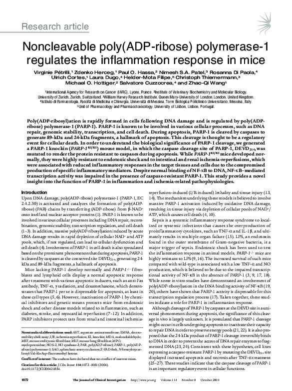(PDF) Noncleavable poly(ADP-ribose) polymerase-1 regulates the ...