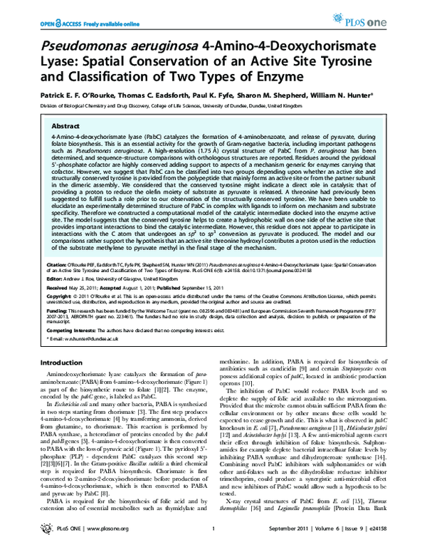 (PDF) Pseudomonas aeruginosa 4-Amino-4-Deoxychorismate Lyase: Spatial ...