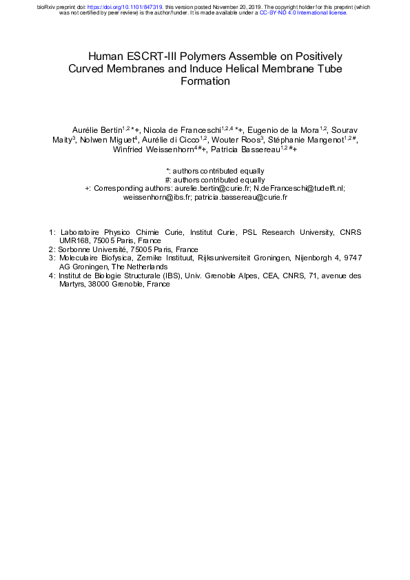 (PDF) Human ESCRT-III Polymers Assemble on Positively Curved Membranes ...