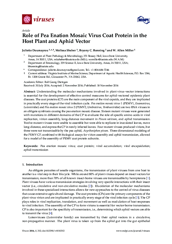 (PDF) Role of Pea Enation Mosaic Virus Coat Protein in the Host Plant ...