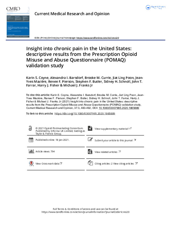 (PDF) Insight into chronic pain in the United States: descriptive ...