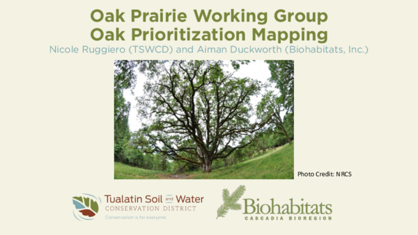 (PDF) Oak Prairie Working Group Oak Prioritization Mapping