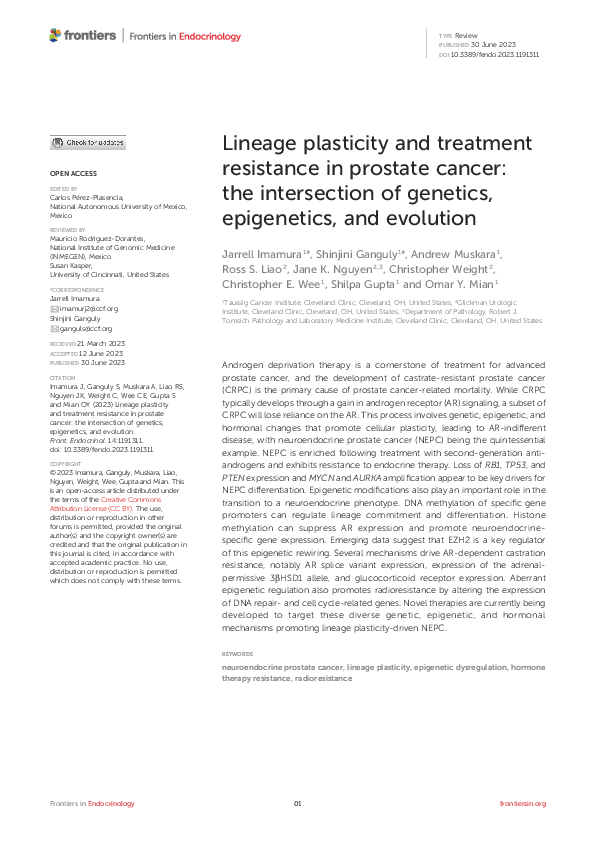 (PDF) Lineage plasticity and treatment resistance in prostate cancer ...
