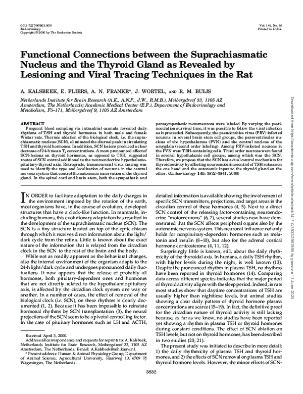(PDF) Functional Connections between the Suprachiasmatic Nucleus and ...