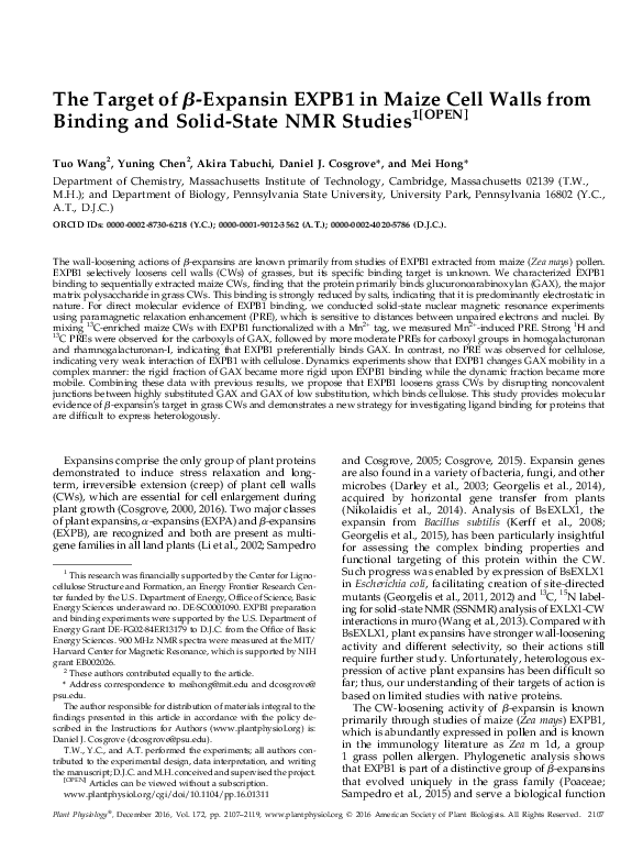 (PDF) The Target of β-Expansin EXPB1 in Maize Cell Walls from Binding ...